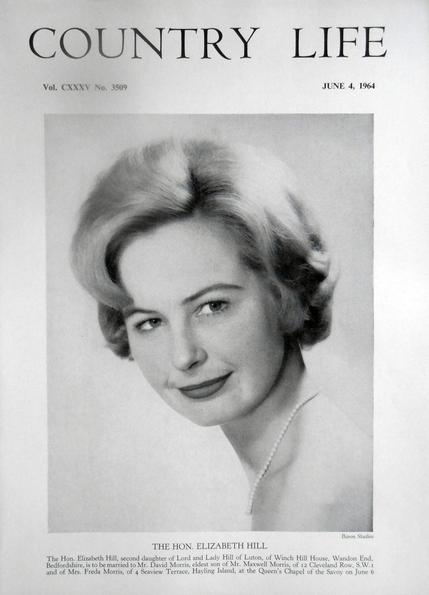 The Hon. Elizabeth Hill Country Life Magazine Portrait June 4, 1964 Vo ...