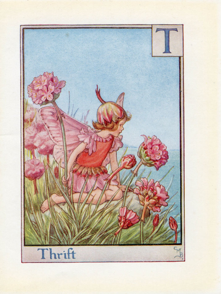 Thrift Flower Fairy Vintage Print c1940 Cicely Barker Alphabet Letter ...
