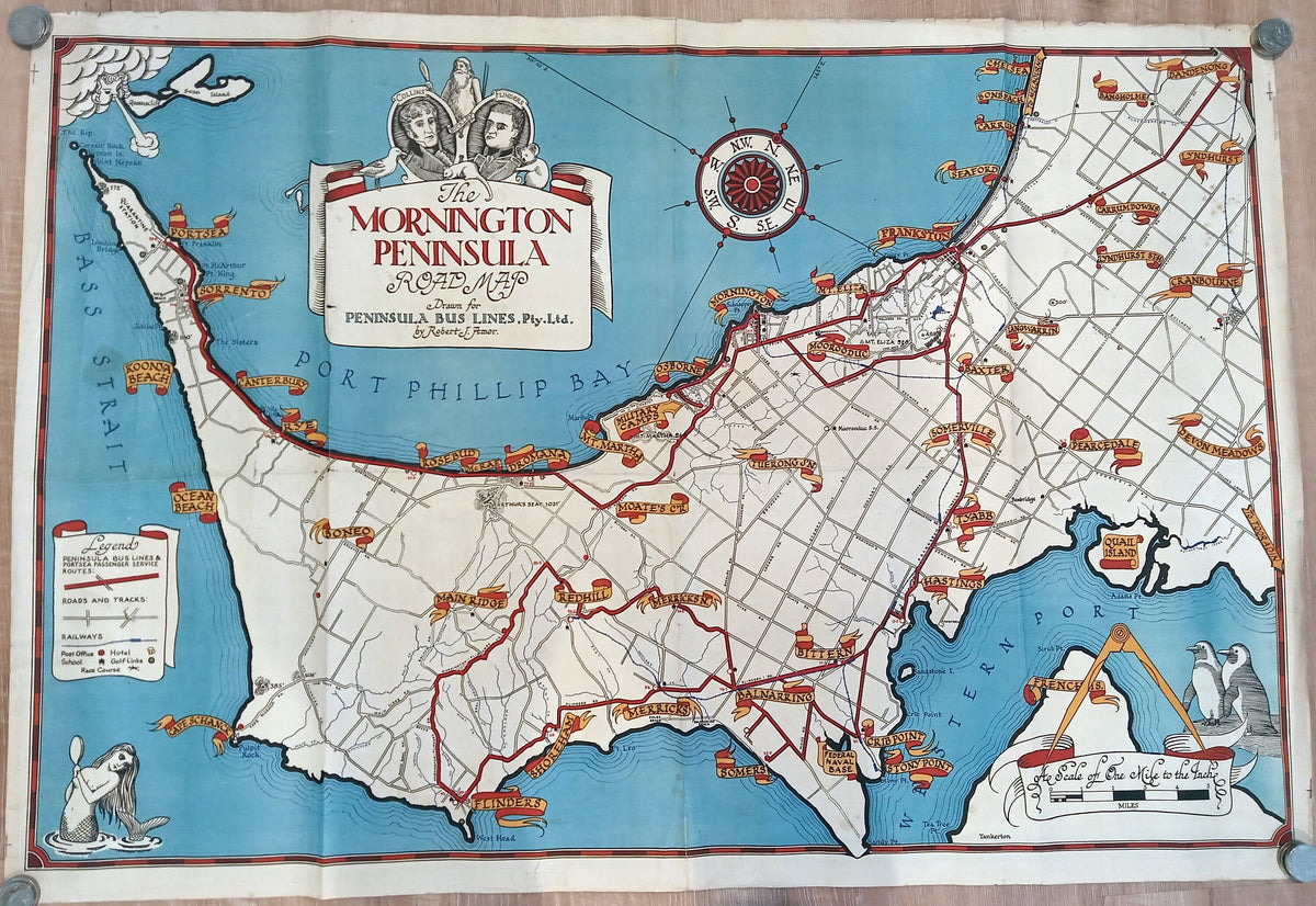 Very Rare c.1945 Mornington Peninsula Pictorial Map by Robert J. Amor ...